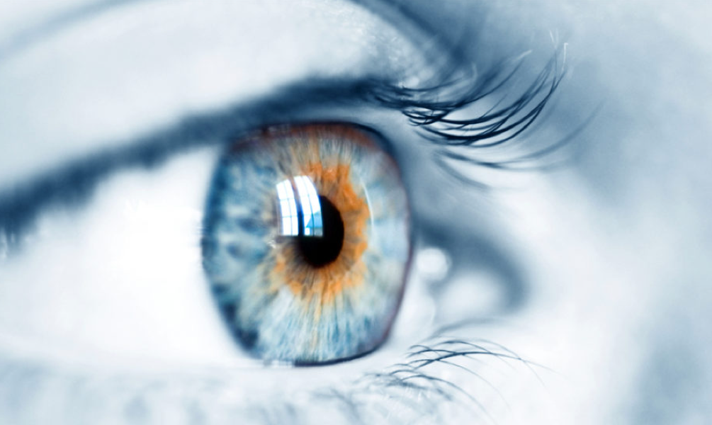 Georgia Eye Bank, Inc.